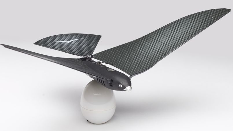 Bionic Bird Drone: recensione e prezzo Amazon